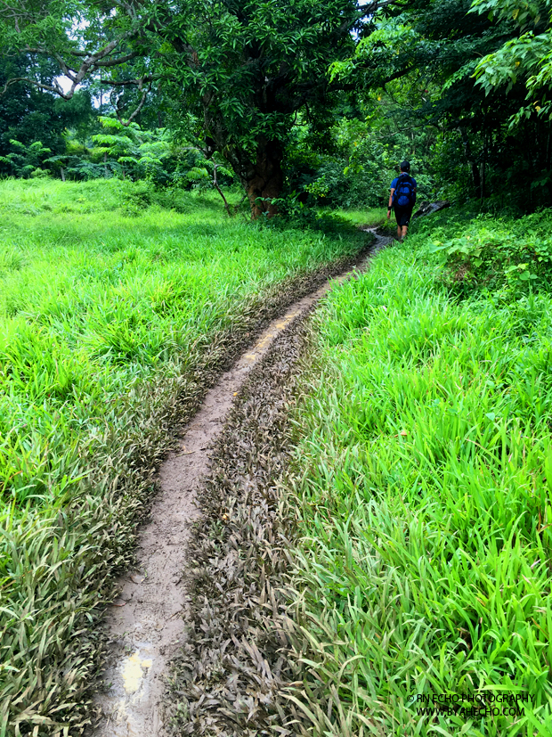 Mount Masungki and Nagpatong Rock Formation – Byahecho