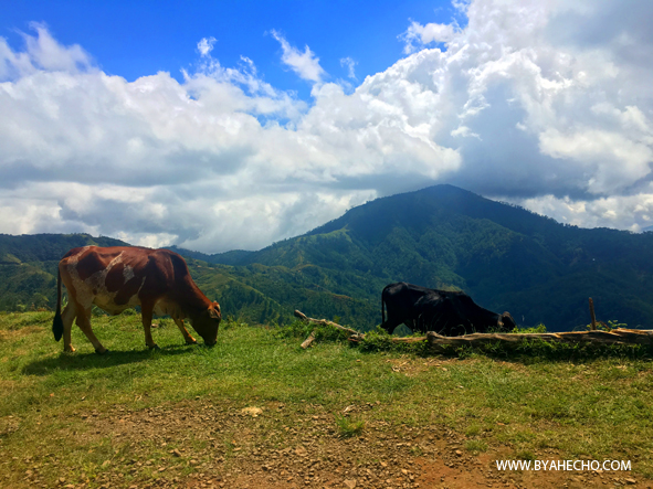 Mount Ugo Traverse (Mountaineering Travel Guide) – Byahecho